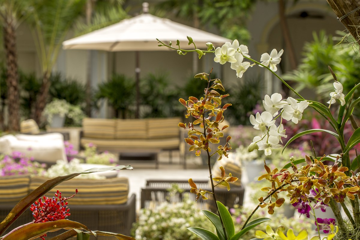 Hotel del Parque - Vaya Adventures - Vaya Adventures