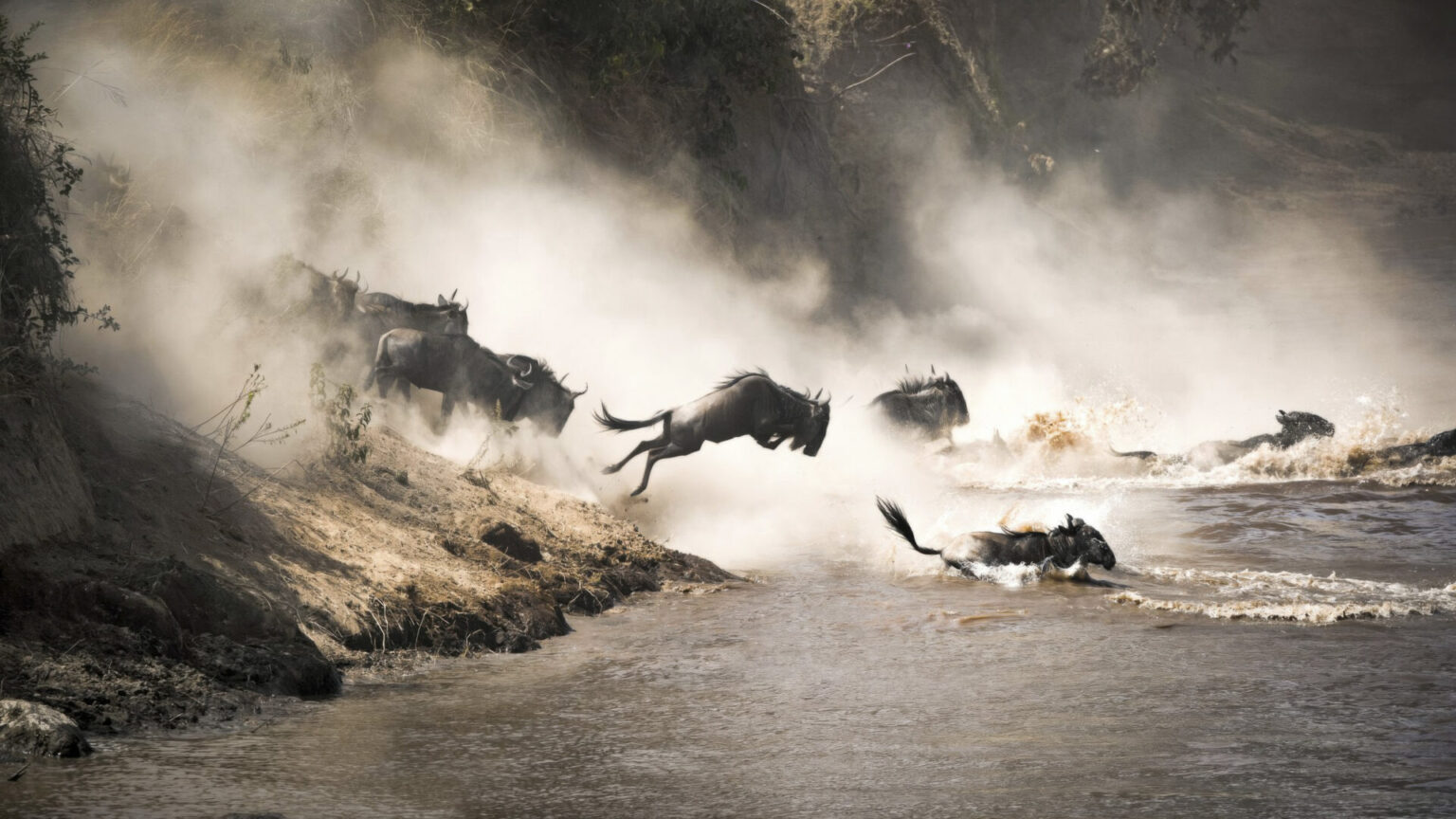 Africa Safari & Travel | Custom African Safaris with Vaya Adventures