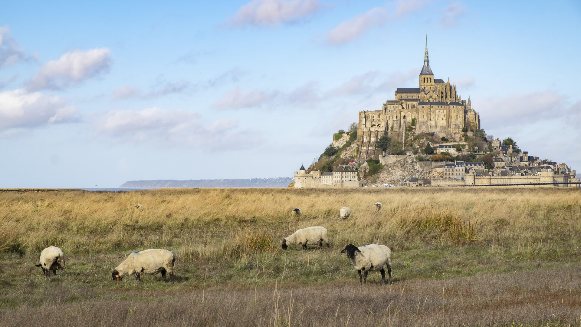 Private Europe Tour Packages | Premier Europe Travel Agency