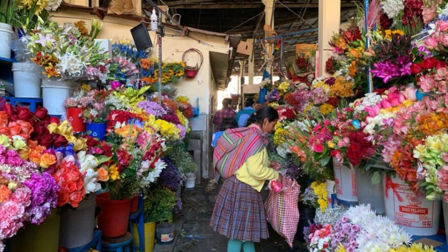 Local Markets of Latin America: A Doorway to Cultural Understanding ...